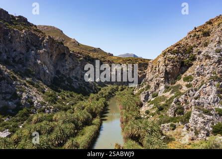 Drone shot, Preveli Beach, Kourtaliatiko Gorge with palm grove, south ...