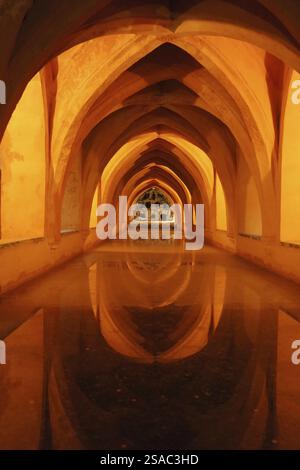 Historic Baths, Los Baños de Doña María de Padilla, Alcázar Palace ...