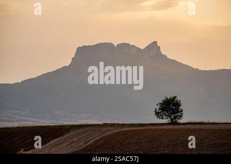 Kapildui Mountain, Izki Natural Park, Alavesa Mountain Group, Alava ...