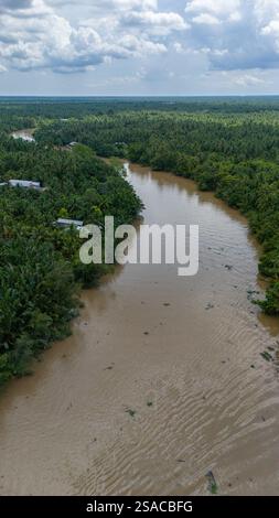 Aerial view of Vietnamese forest on the Mekong Delta, waterway ...