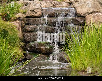 A man made wildlife pond in Ecclesall Woods in Sheffield England UK ...