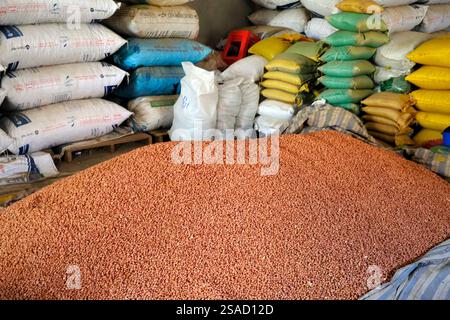 Peanut production factory. Sorting and packaging of peanuts. Tan Chau ...