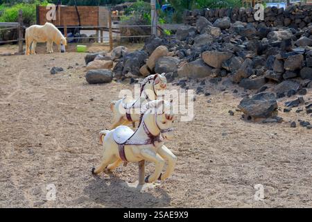 Toy horses in a paddock, Fuerteventura, Canary Islands, Spain, Europe ...