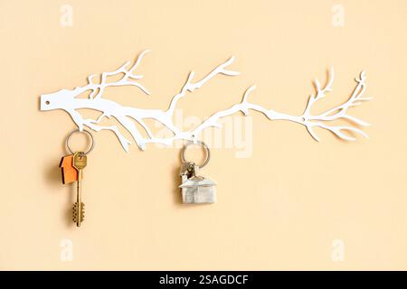 Stylish key holder in shape of branch hanging on blue wall Stock Photo ...