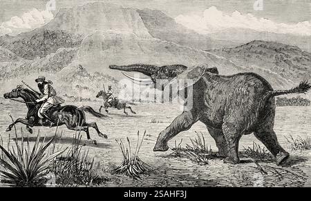 English explorer Baker being charged by an elephant while on a hunting ...