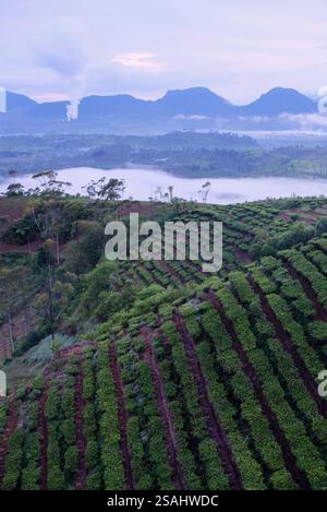 Beautiful landscape view of Pangalengan, Bandung Regency, Indonesia ...