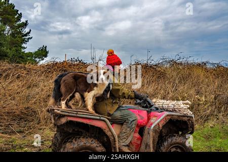 shepherd & sheepdog on a compact tractor Stock Photo - Alamy