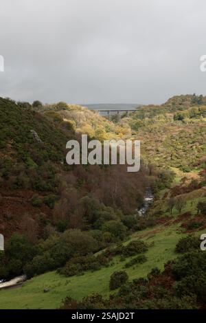 Meldon Viaduct and the West Okement Valley, Devon, England Stock Photo ...