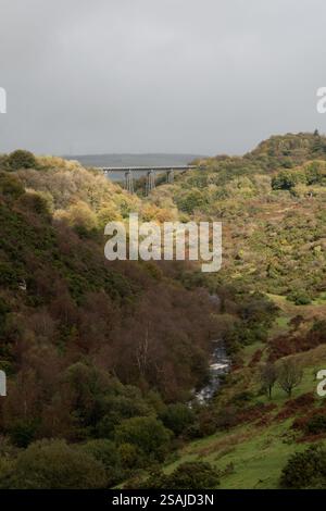 The Meldon Viaduct and the West Okement Valley, Devon, England Stock ...
