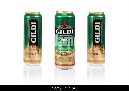 Dnipro, Ukraine - august 21, 2024: European beer Gildi Eripruul in ...