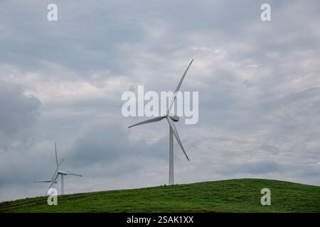 Clean pasture and wind farm landscape under blue sky Stock Photo - Alamy
