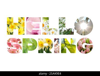 Hello spring card with seasonal plants inside letters on white ...