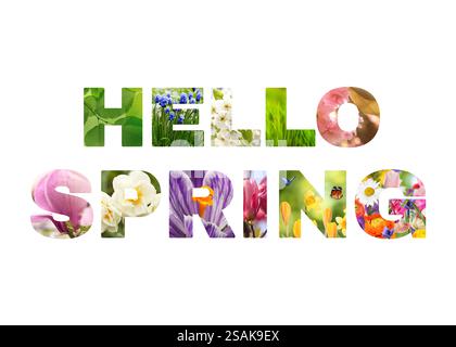 Hello spring background with flowers and butterflies Stock Photo - Alamy