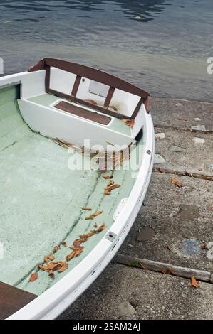 Small rowing boat pulled up onto the beach under a palm tree at high ...