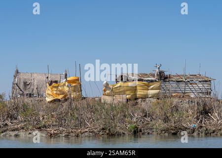 Reed house of Marsh Arabs, Mesopotamian Marshes, Ahwar of southern Iraq ...