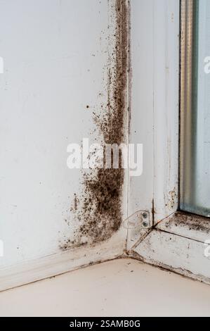 Black Mold on Window Sill and Frame Corner Stock Photo - Alamy