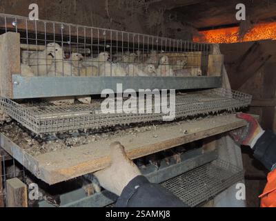 Close up group of workers cleaning windows service on high rise ...