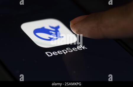 In this photo illustration, a Deepseek logo is seen displayed on a ...