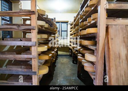 Kyanjin Gompa, Langtang, Nepal - Octobet 16, 2024 : Yak Cheese Factory ...