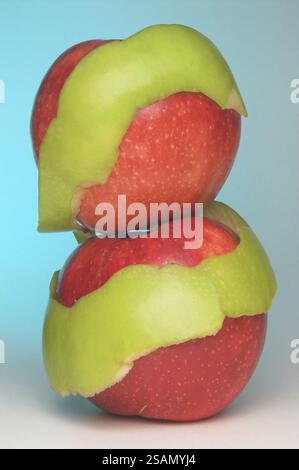 Two red apples wrapped in a Granny Smith apple peel Stock Photo - Alamy