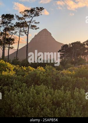 Sunset from Lions head, Cape Town Stock Photo - Alamy