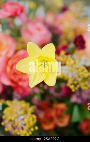 Elegant yellow pink small roses with green leaves, natural fresh chic ...