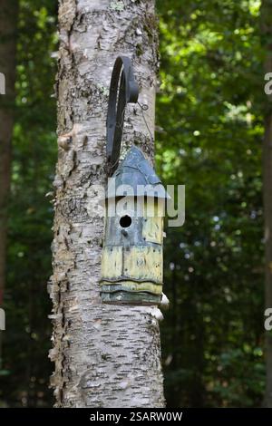 a birdhouse in a tree in summer Stock Photo - Alamy