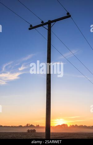 A power pole stands tall in the foreground, with sunlight shining ...