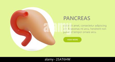 Realistic pancreas. Secretion of pancreatic juice, insulin. Set of ...