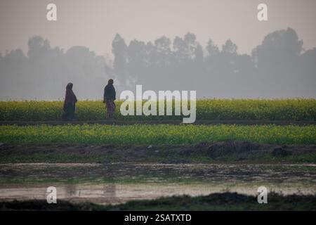 Rural women walking through a vegetables field on a foggy winter noon ...