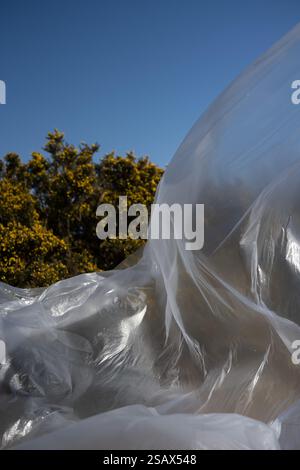 Plastic Sheet Draped Over Yellow Flowers Stock Photo - Alamy