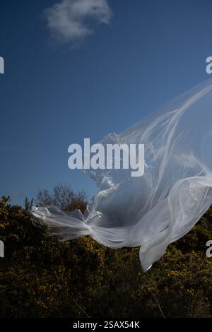 Plastic Sheet Draped Over Yellow Flowers Stock Photo - Alamy