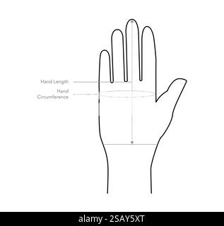 Dimensions and measurement of human hand vector Stock Vector Image ...