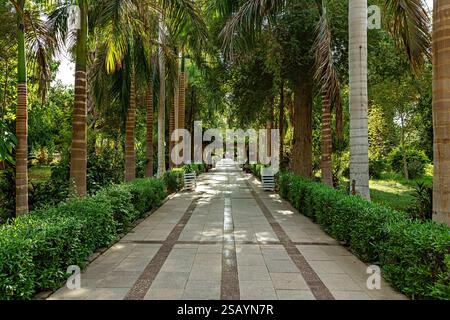 Aswan botanical garden Upper Egypt Stock Photo - Alamy
