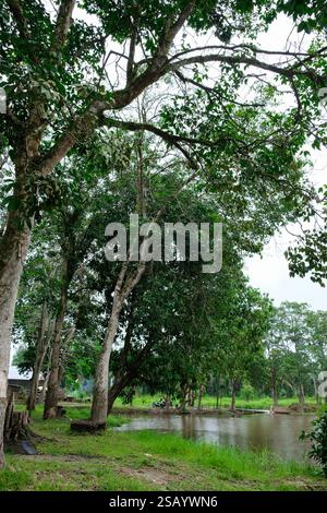 Beautiful landscape of Buluh Cina Nature Tourism Park, Riau, Indonesia ...