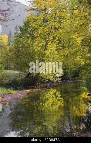 The Toplitz river begins at the western end of the Lake Toplitzsee as ...