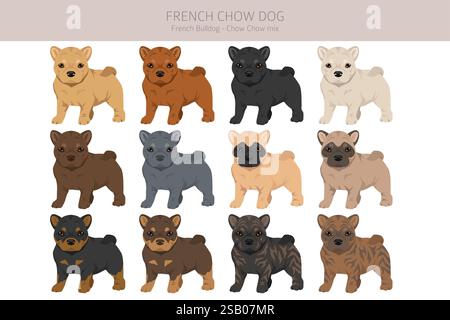 French chow dog clipart. French Bulldog - Chow chow mix. All possible ...