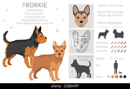 Frorkie clipart. French Bulldog - Yorkshire Terrier mix. All possible ...