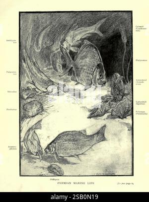 Evolution, in the past, London, Herbert, Daniel, 1912, evolution ...