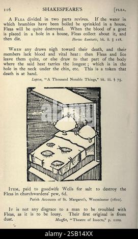 Natural history, Shakespeare's time, London, E. Stock, 1896., An ...