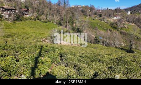 A village view from Rize, Turkey Stock Photo - Alamy