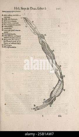 Parts of Ulysses Stock Photo - Alamy