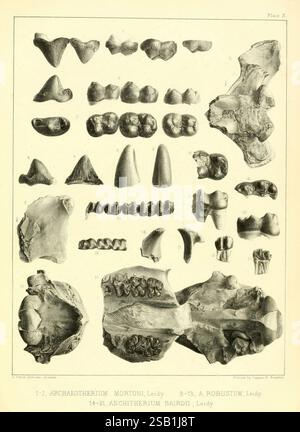 The ancient fauna of Nebraska: Washington, 1853. Nebraska, paleontology ...