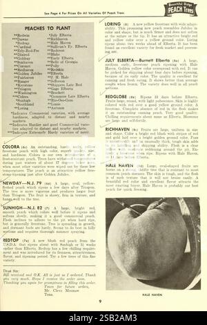 Bountiful Ridge Nurseries, Princess Anne, Md, Bountiful Ridge Nurseries ...