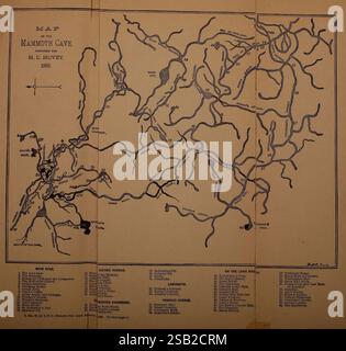 The cave fauna of North America Washington, National Academy of ...