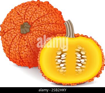 Red Warty Thing Pumpkin. Winter squash. Cucurbita maxima. Fruits and ...