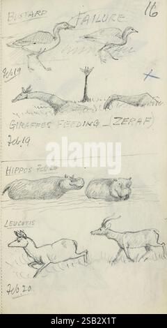 Abel Chapman's Sudan sketchbooks between 1913 and 1919, The artwork ...