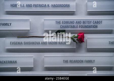 A jet landing in Boston, the USA at sunset Stock Photo - Alamy