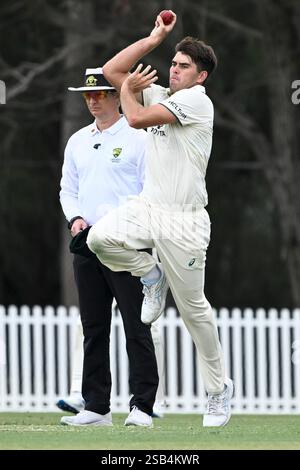 Cricket Central, Sydney, Australia. 1st Feb, 2025. International ...