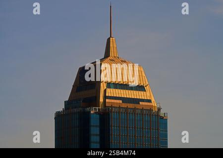 Metrobank Center in the BGC area of Manila is the tallest building in ...